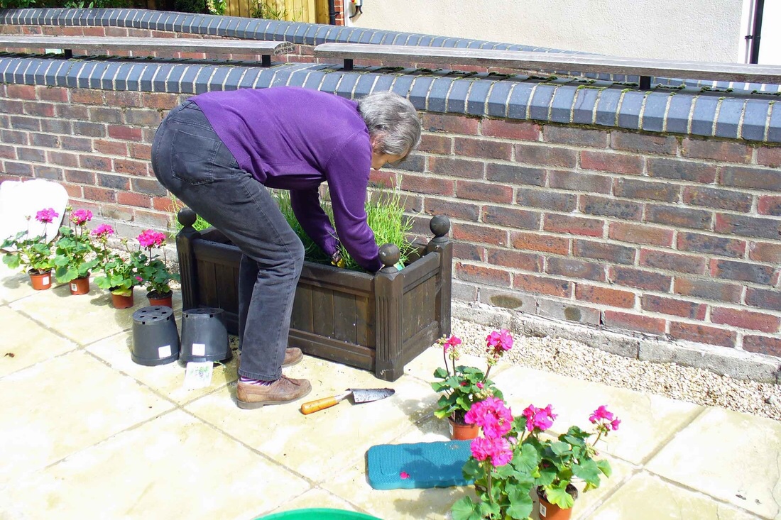 Gardening at the Museum – Wantage WI