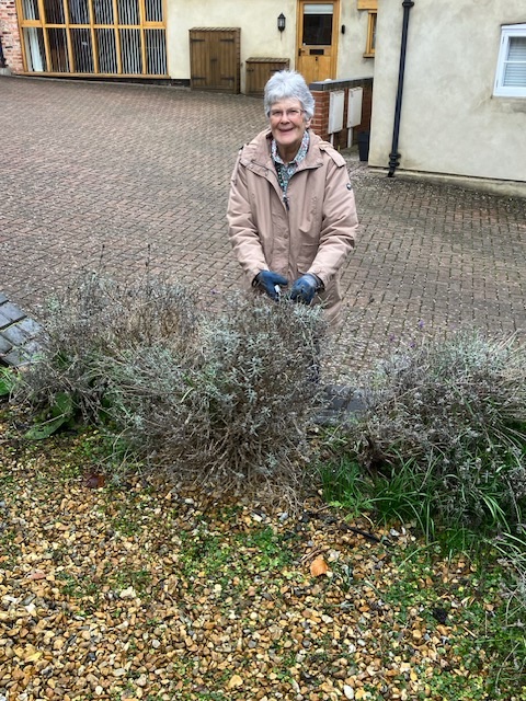 Gardening at the Museum – Wantage WI